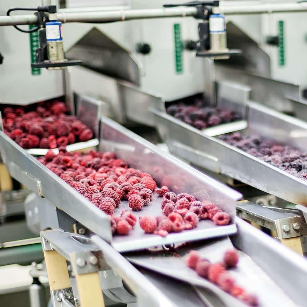 Food Chillers in Process Cooling | North Slope Chillers